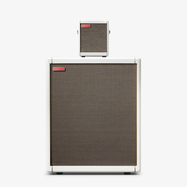 Spark CAB | 140-Watt Class D Powered FRFR Speaker Cabinet | Positive Grid