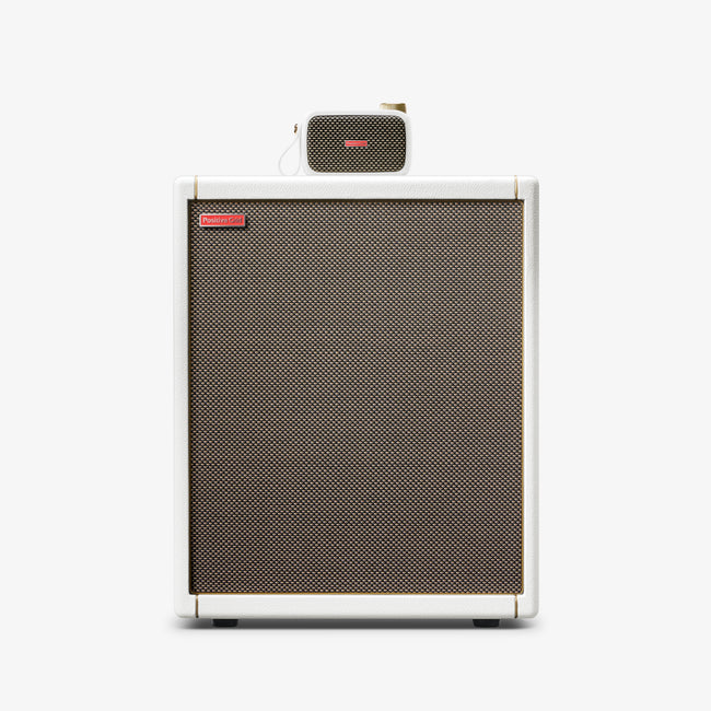 Spark CAB | 140-Watt Class D Powered FRFR Speaker Cabinet | Positive Grid