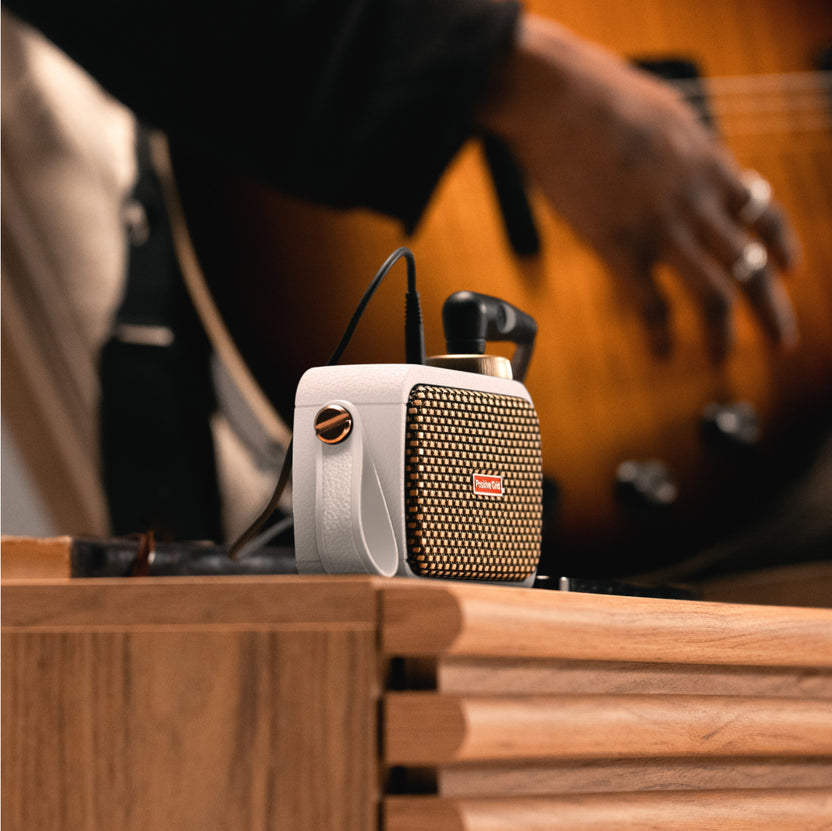 Spark GO Portable Smart Guitar Amp & Bluetooth Speaker - Positive Grid