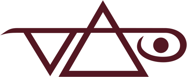 Spark MINI Vai | Special Edition 10-Watt Portable Smart Guitar Amp ...